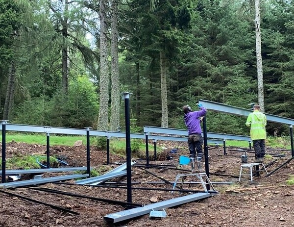 Rapidroot foundations